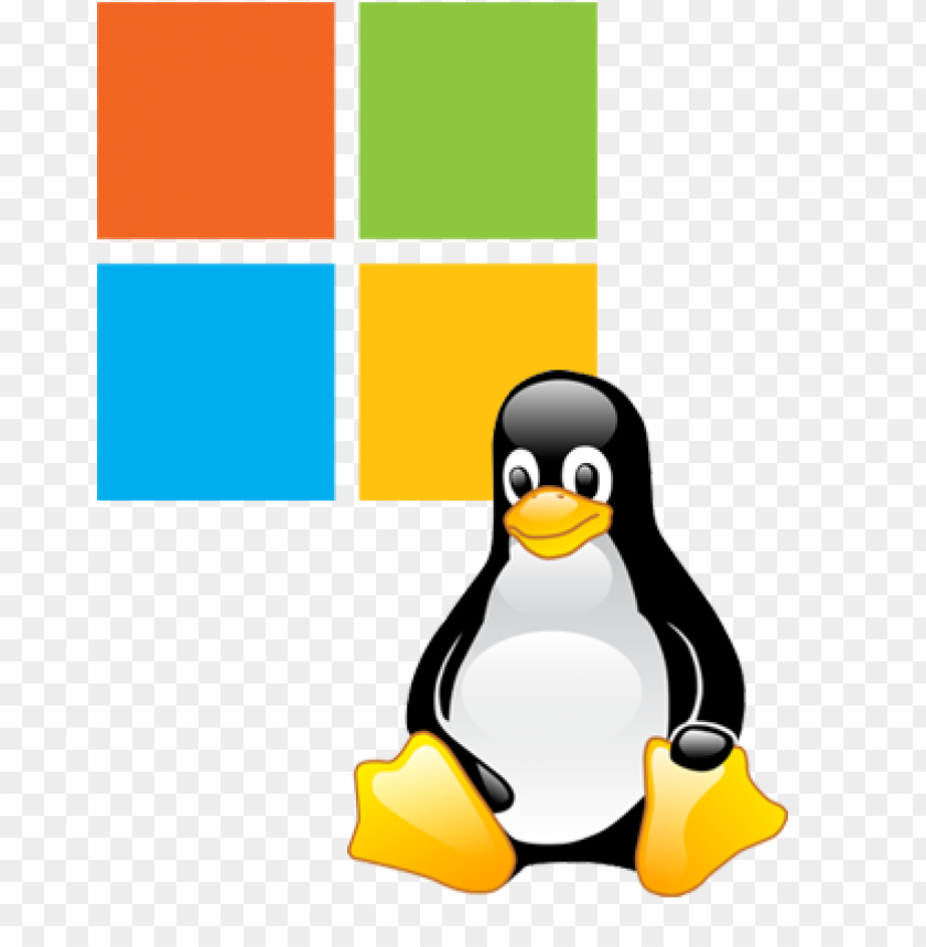 Free download | HD PNG tux penguin with windows vector png | TOPpng