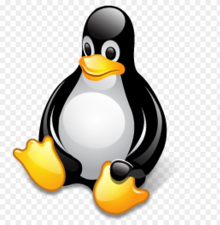 Free download | HD PNG small cute linux penguin png | TOPpng