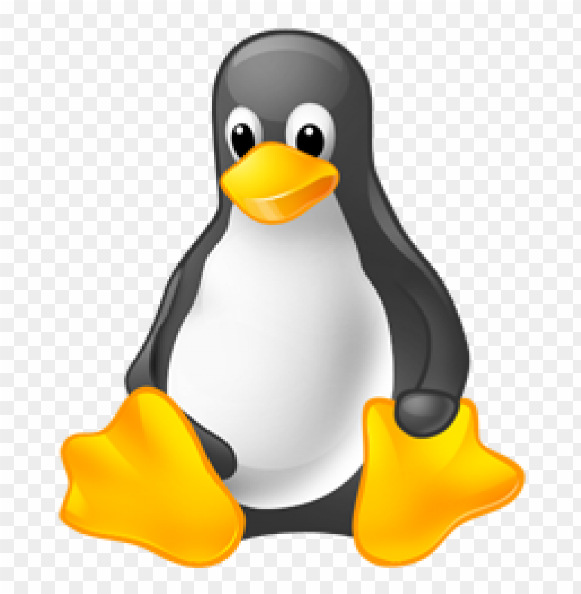 Free download | HD PNG happy tux penguin with yellow feet png | TOPpng