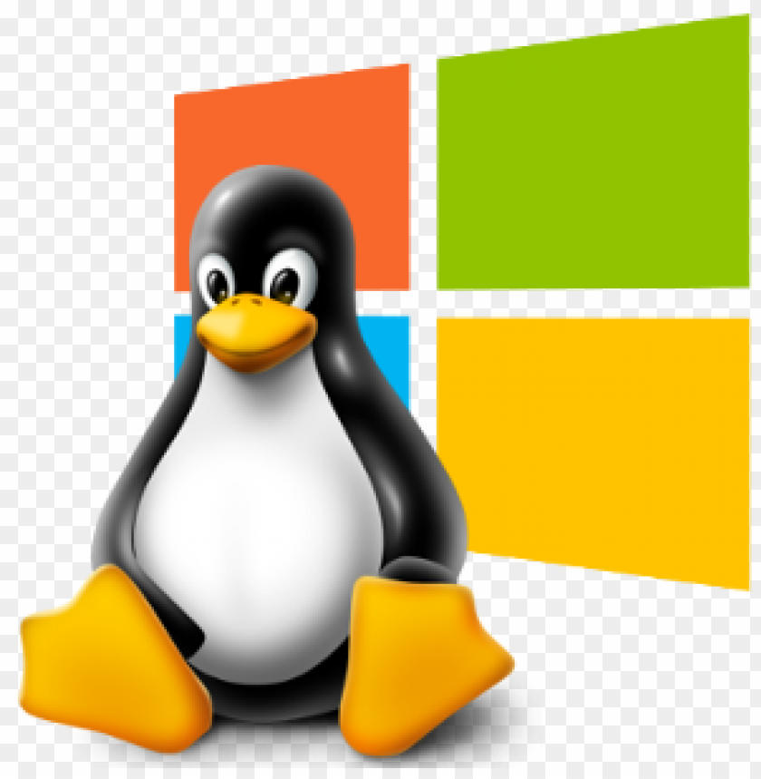 Free download | HD PNG tux penguin with windows logo png | TOPpng