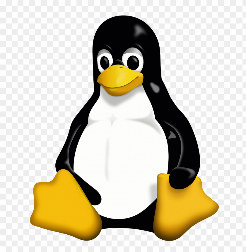 Free download | HD PNG tux penguin with yellow boots png | TOPpng