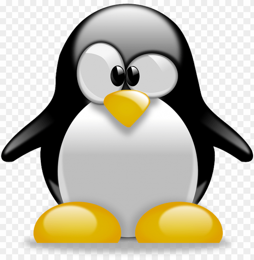 Free download | HD PNG adorable tux penguin symbol png | TOPpng