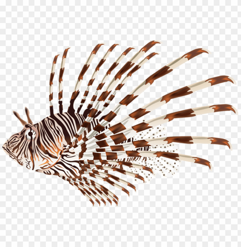 Free download | HD PNG lionfish clipart png photo - 54210 | TOPpng