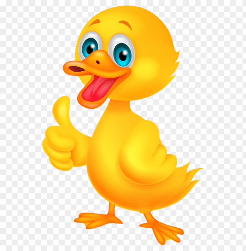Duck PNG & clipart images | TOPpng