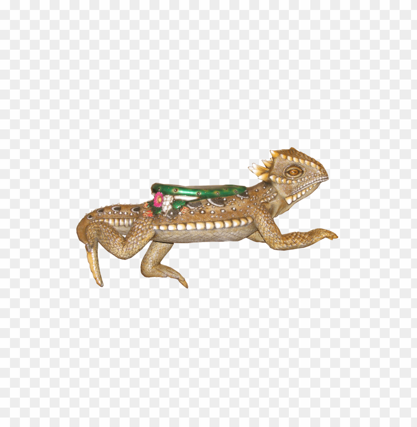 Free download | HD PNG lizard | TOPpng