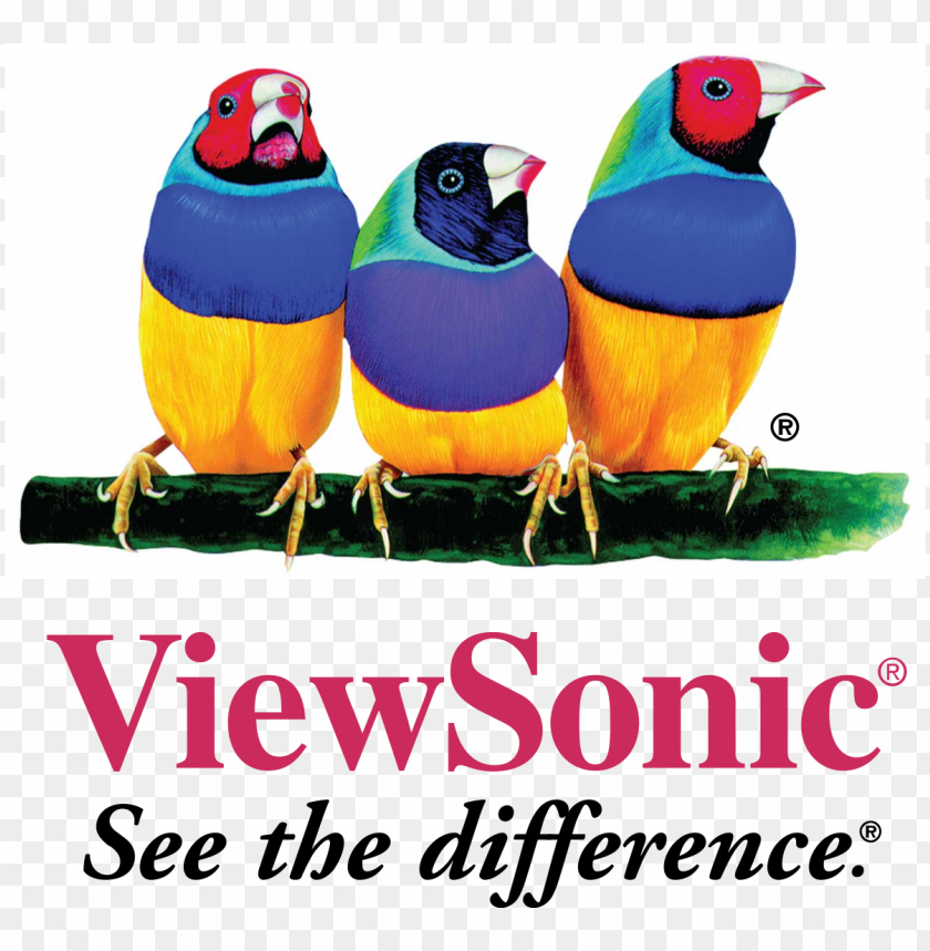 Free download | HD PNG logo view sonic PNG transparent with Clear ...