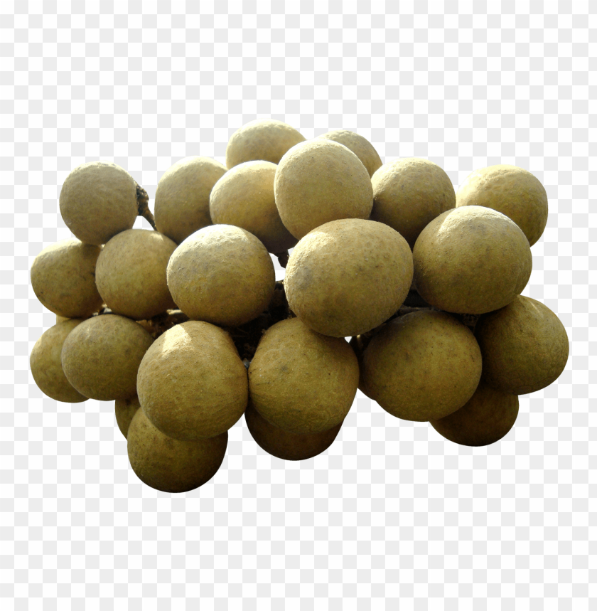 Free download | HD PNG longan cluster with leaves vector | TOPpng