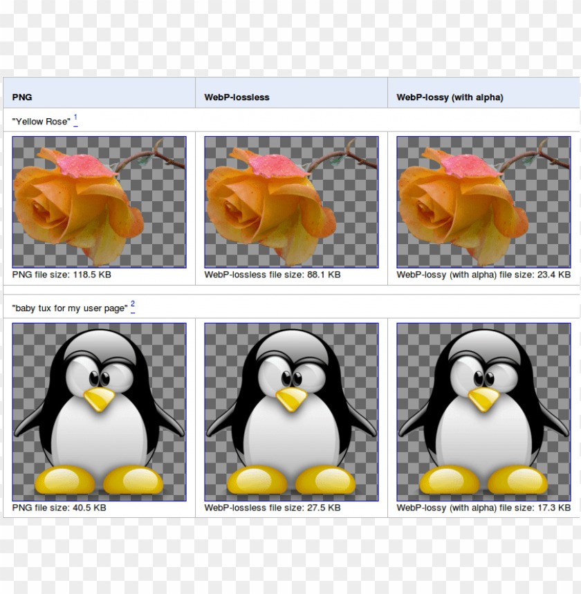 Free download | HD PNG lossless compression 4 PNG transparent with ...