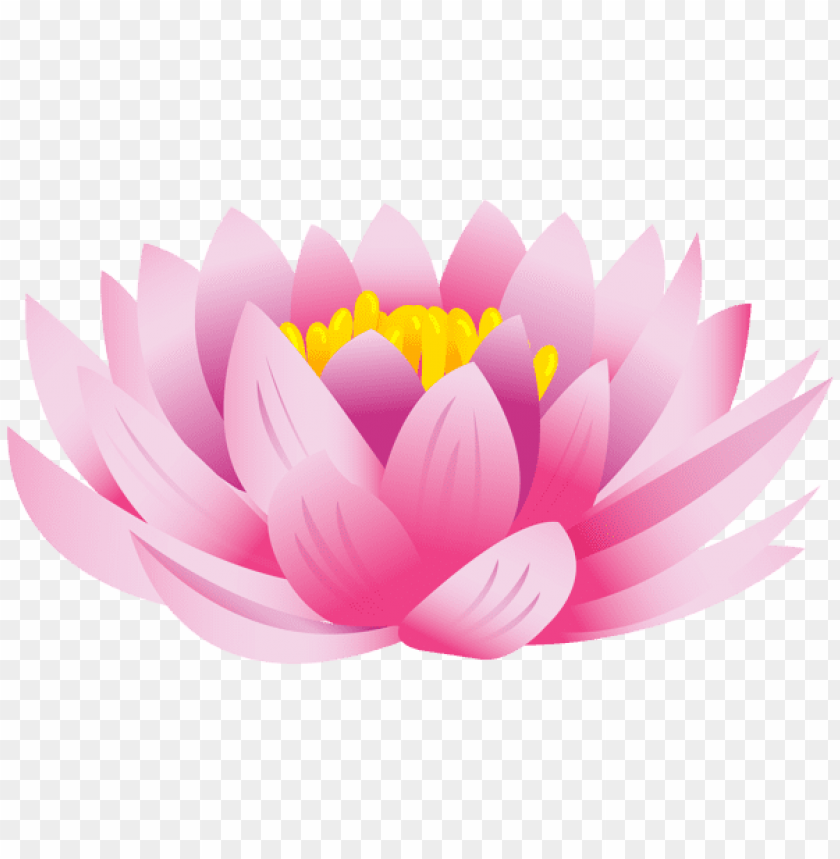 Free download | HD PNG PNG image of lotus flower with a clear ...