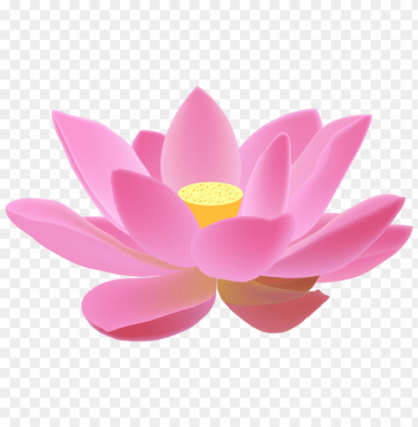 Free download | HD PNG PNG image of lotus free with a clear background ...
