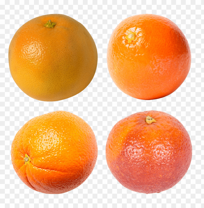 Free download | HD PNG mandarin PNG images with transparent backgrounds ...