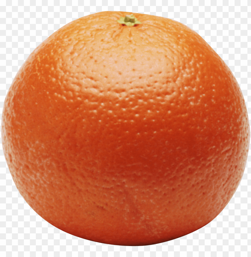 Free download | HD PNG mandarin PNG images with transparent backgrounds ...