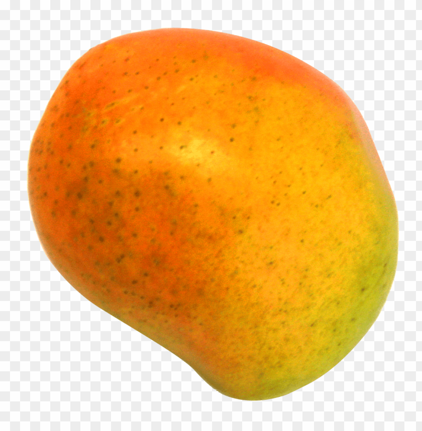 Free download | HD PNG ripe mango with smooth skin png | TOPpng
