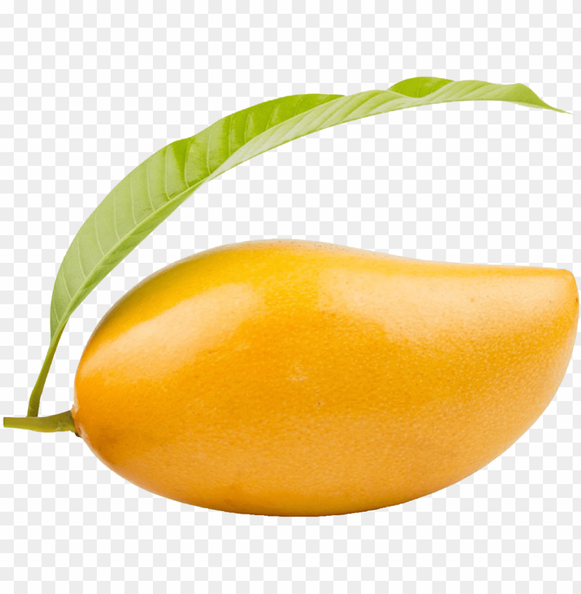 Free download | HD PNG mango png clipart ripe mango PNG transparent ...