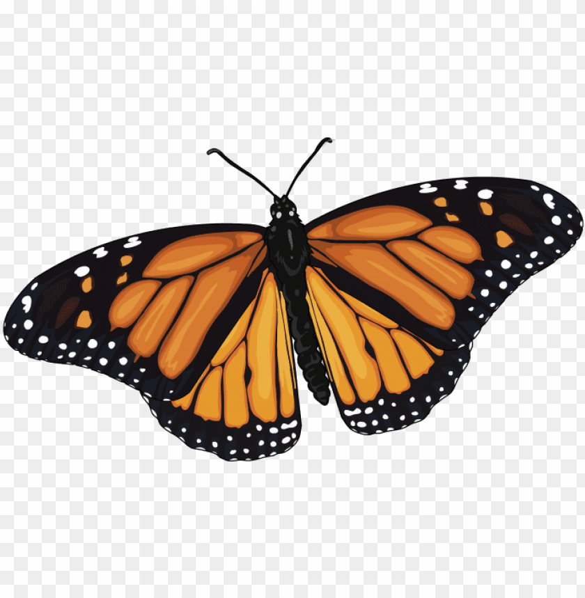 Free download | HD PNG mariposa monarca monarch butterfly PNG ...