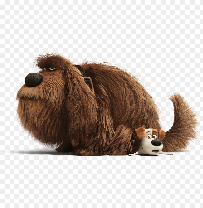 Free download | HD PNG max and duke secret life of pets fun book PNG ...