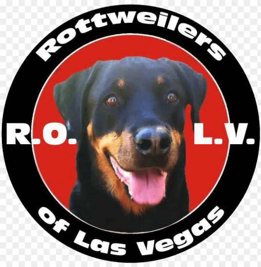 Free download | HD PNG maxtop drivers pack aio 2010 PNG transparent ...