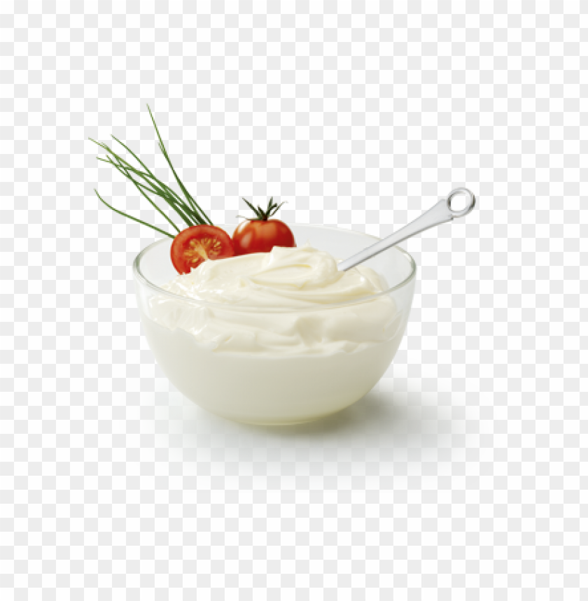 Free download | HD PNG mayonnaise bowl with tomato garnish PNG images ...