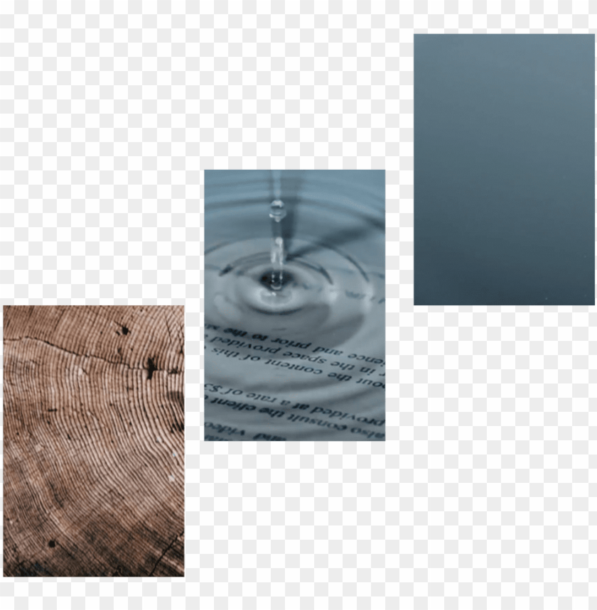Free download | HD PNG mcitp strangeflock dro PNG transparent with ...