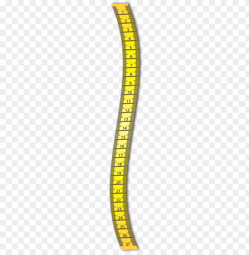 Free download | HD PNG Transparent Background PNG of measure tape ...