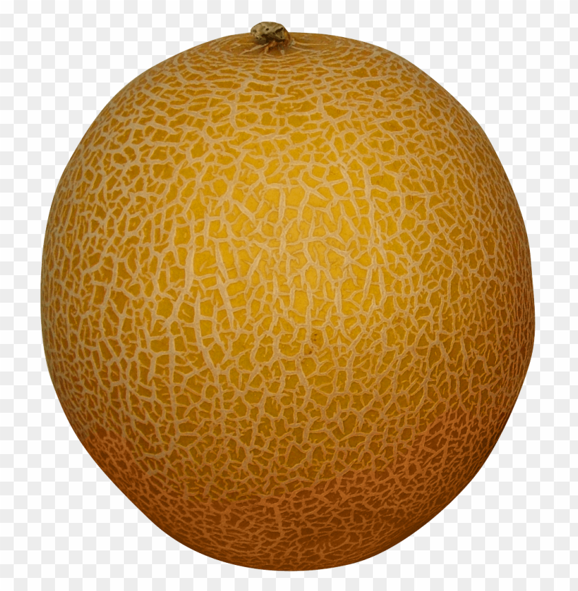 Free download | HD PNG golden melon with smooth skin clip art | TOPpng