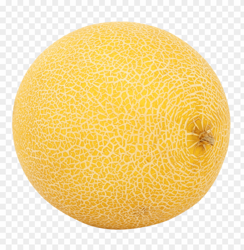 Free download | HD PNG whole yellow melon with textured rind png PNG ...