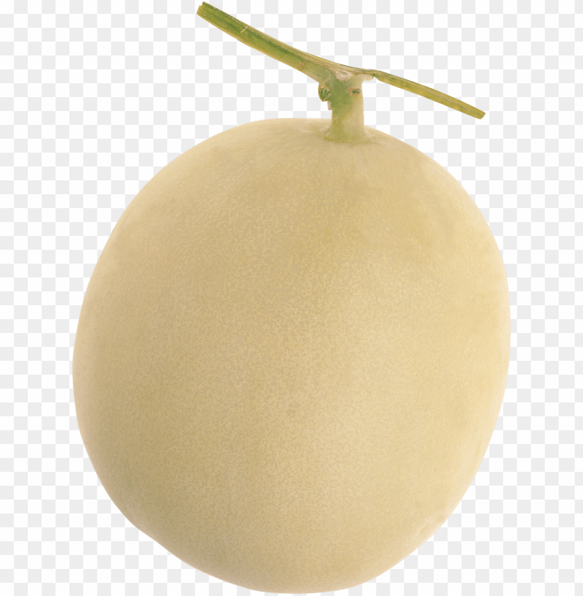 Free download | HD PNG smooth honeydew melon with pale skin png PNG ...