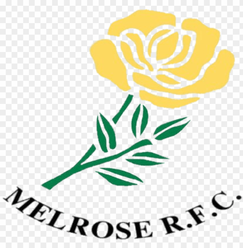 Free download | HD PNG melrose rfc rugby logo png | TOPpng