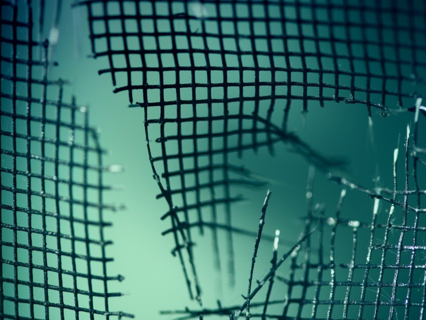 Free download | HD PNG mesh torn texture macro 4k wallpaper | TOPpng