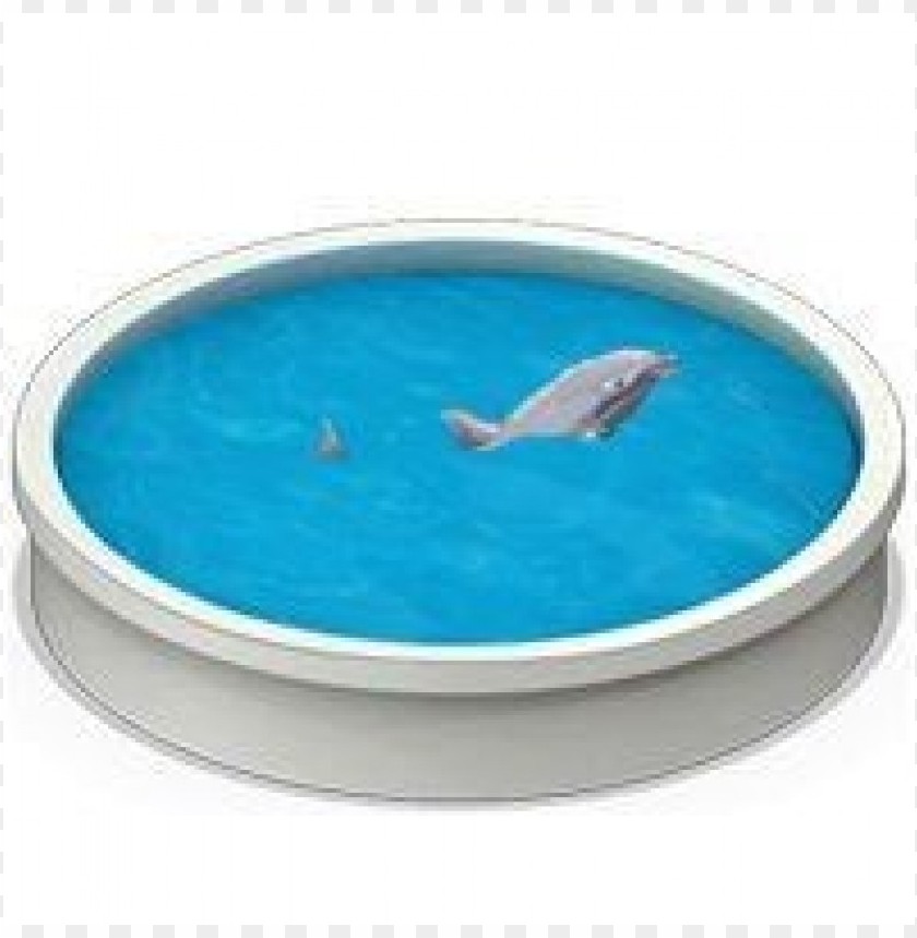 Free download | HD PNG miami interactive dolphin png - Free PNG Images ...