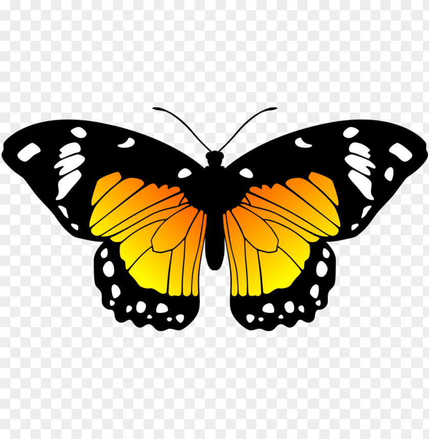 Free download | HD PNG millions of hd unlimitedabsolutely free ...