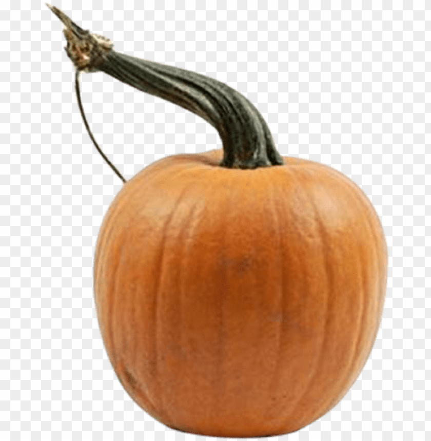 Free download | HD PNG mini pumpkins pumpki PNG transparent with Clear ...