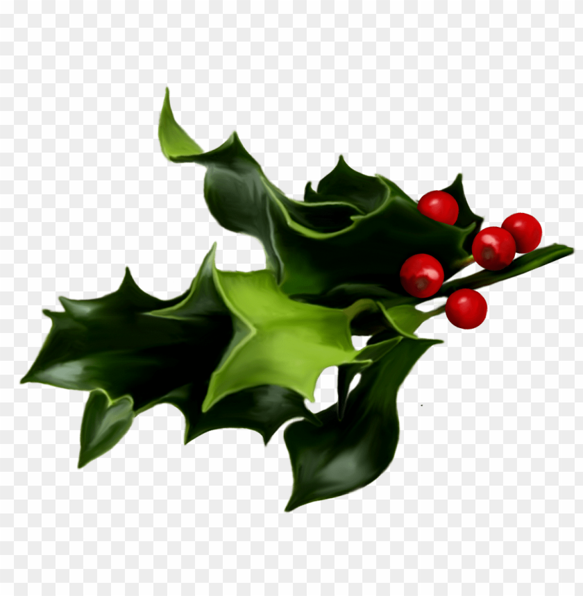 Free download | HD PNG mistletoe png images Background - image ID is ...
