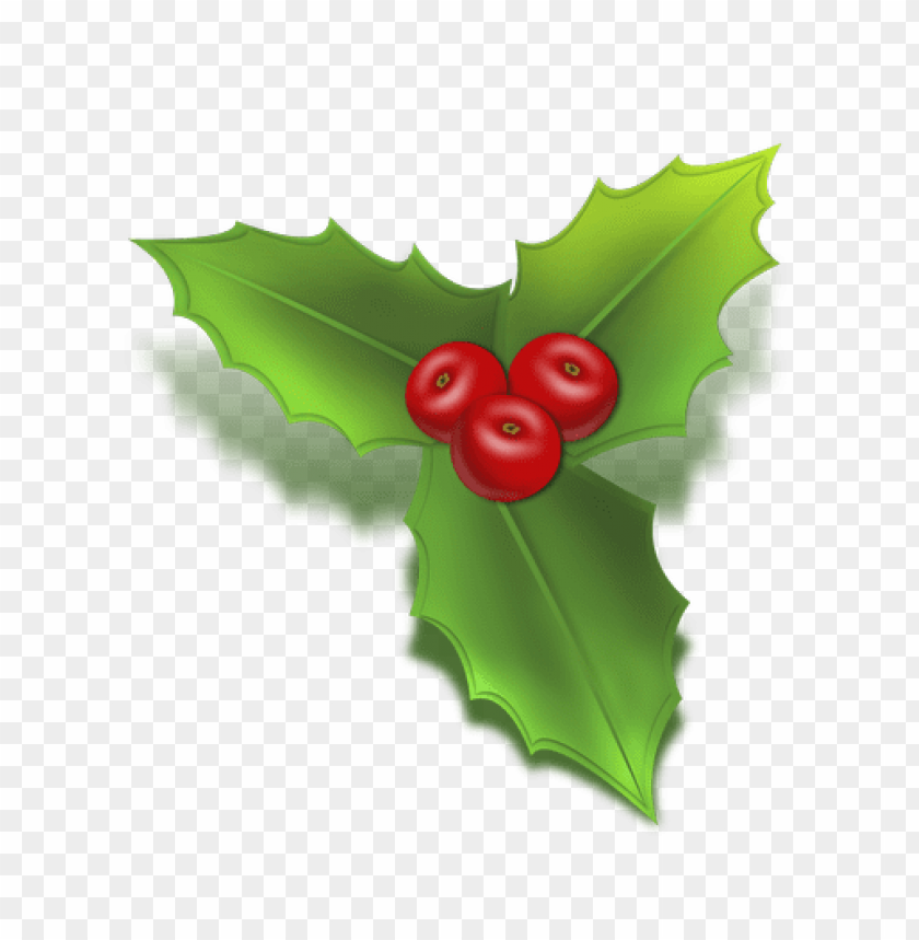 Free download | HD PNG mistletoe png images Background - image ID is ...