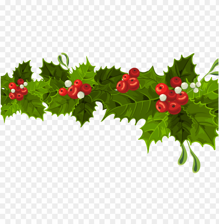 Free download | HD PNG mistletoe png images Background - image ID is ...