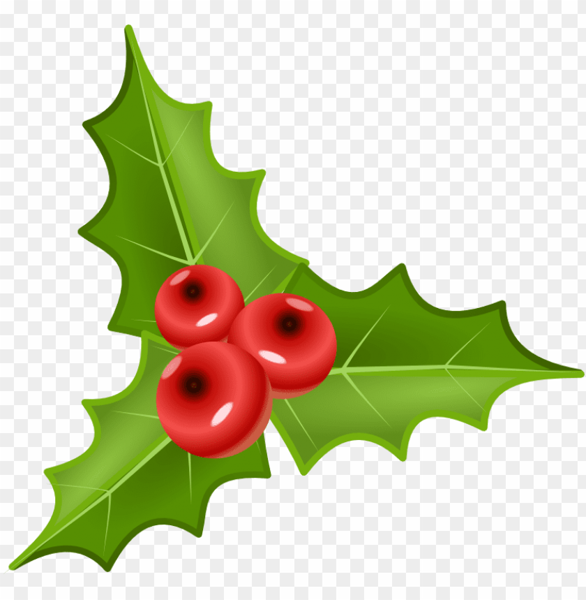 Free download | HD PNG mistletoe png images Background - image ID is ...