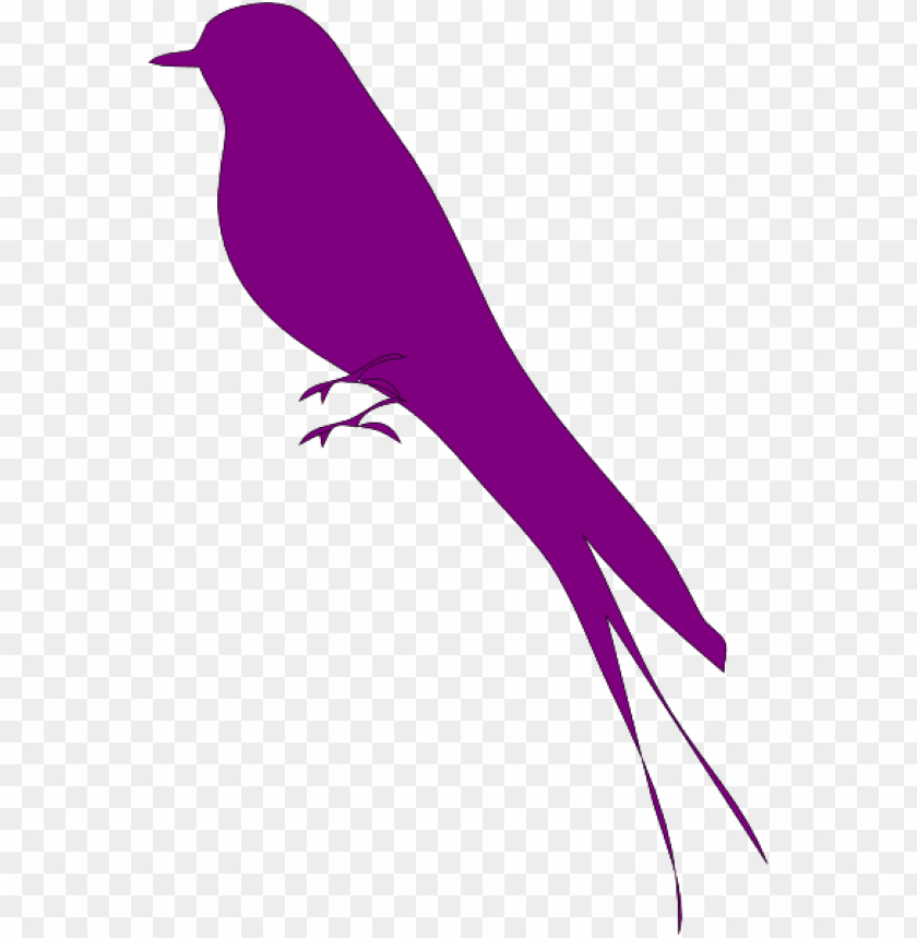 Free download | HD PNG mockingbird black and white PNG transparent with ...