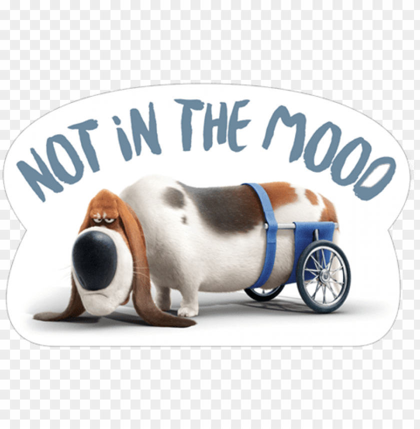 Free download | HD PNG 不在mooo secret life of pets dog with wheels PNG ...