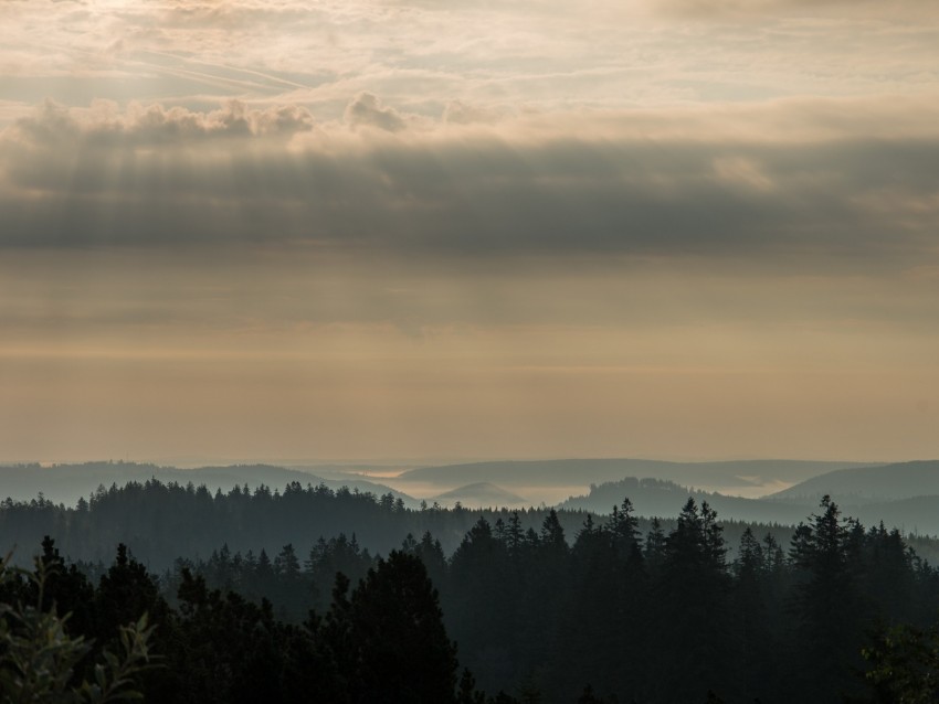 Free download | HD PNG morning forest horizon distance schwarzwald 4k ...