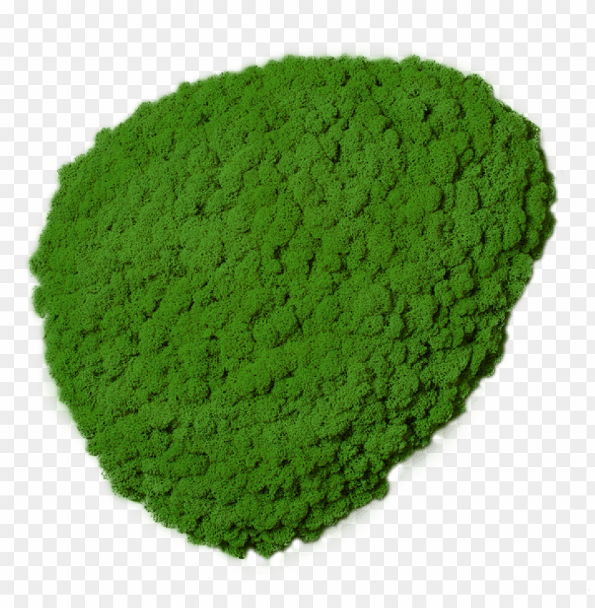 Free download | HD PNG moss stone moss image made of premium moss super ...