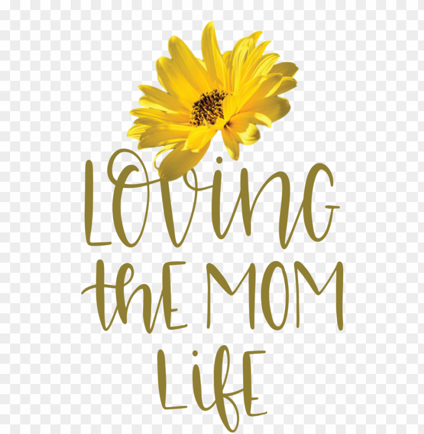 Free download | HD PNG loving the mom life sunflower PNG transparent ...