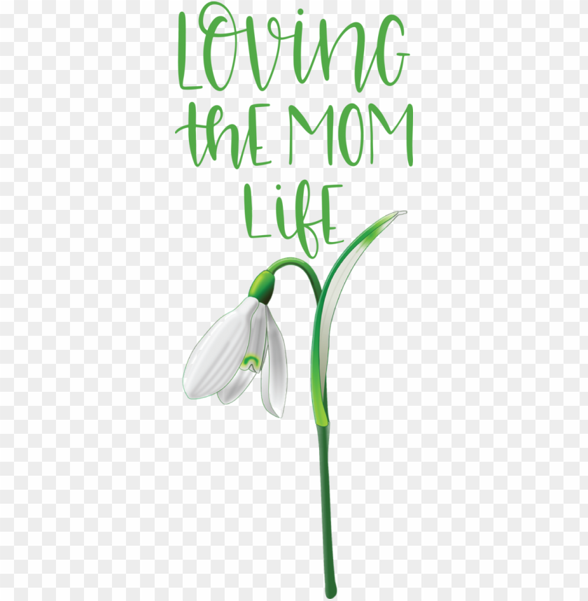 Free download | HD PNG mothers day leaf plant stem green for love you ...