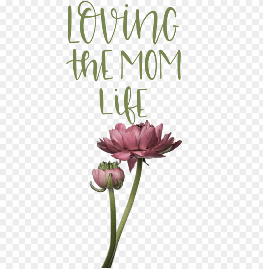 Free download | HD PNG mothers day mothers day fathers day flower for ...