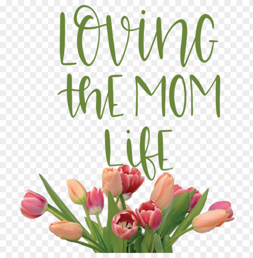 Free download | HD PNG mothers day floral design PNG transparent with ...