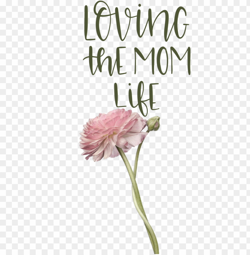 Free download | HD PNG mothers day plant stem cut flowers petal for ...