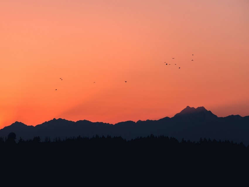 Free download | HD PNG mountains sunset outlines birds 4k wallpaper ...