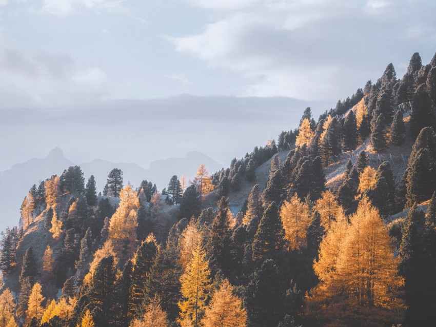 Free download | HD PNG mountains trees fog slope landscape 4k wallpaper ...
