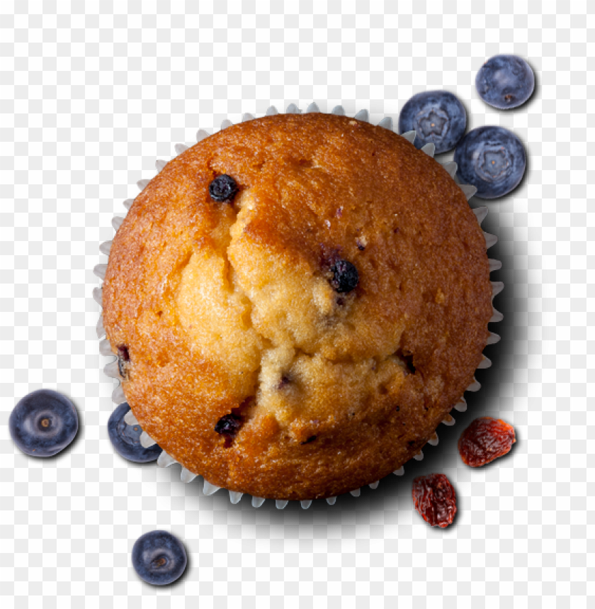 Free download | HD PNG blueberry muffin with fresh berries PNG images ...