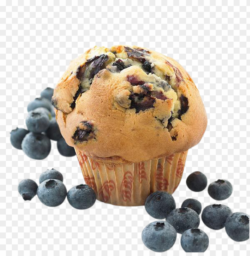 Free download | HD PNG muffin with blueberry toppings PNG images with ...