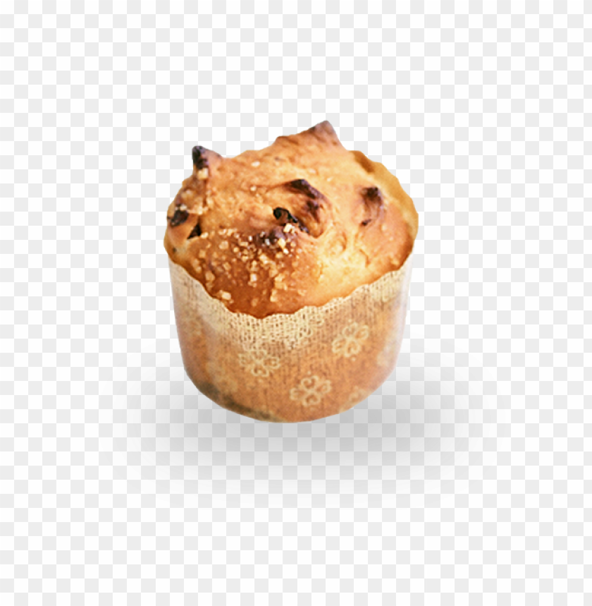 Free download | HD PNG golden muffin with raisins and nuts PNG images ...